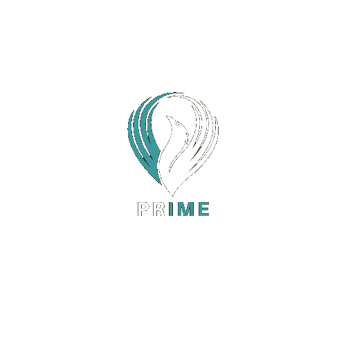 Home | Prime